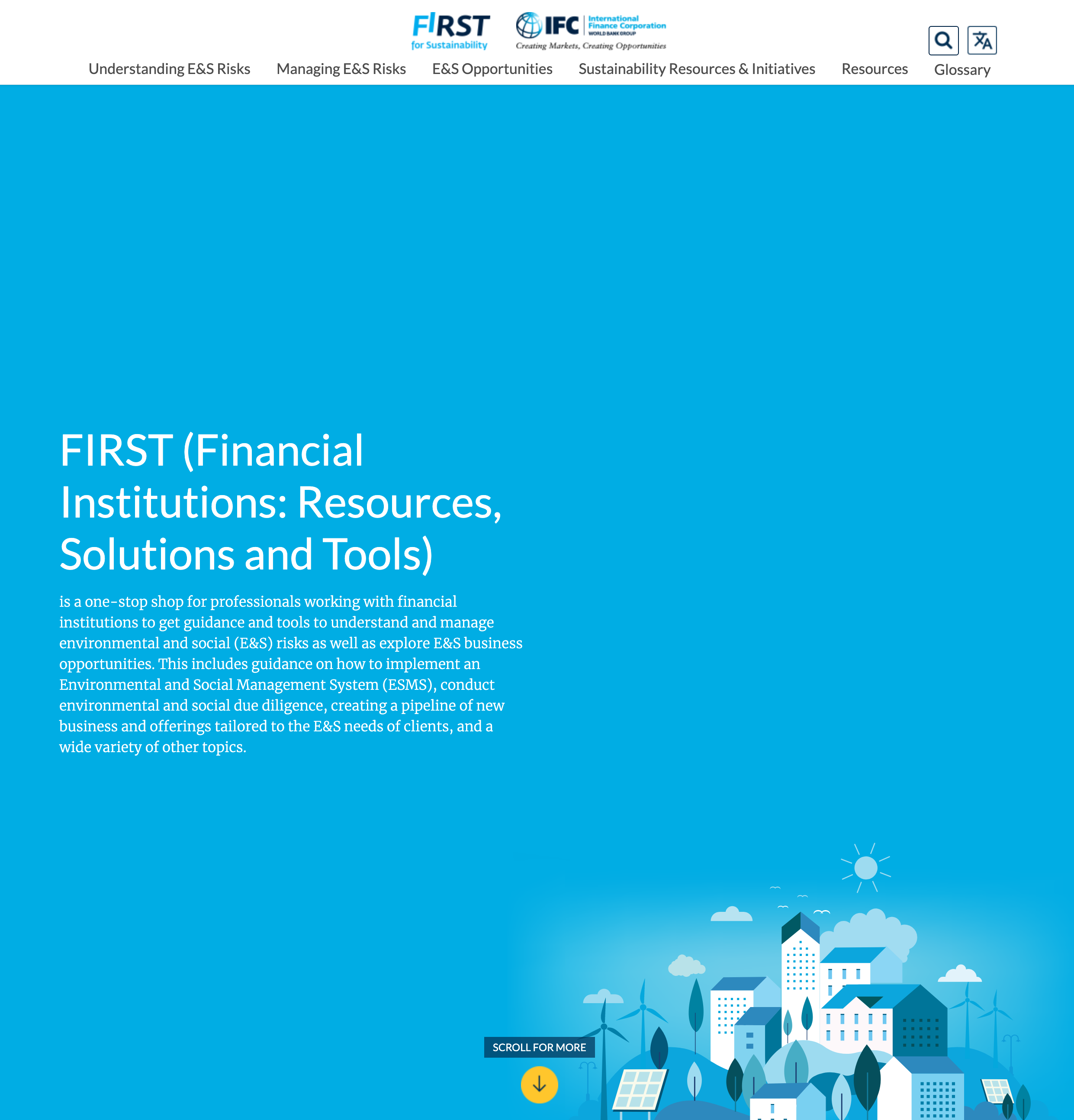 FIRST for Sustainability (Financial Institutions: Resource, Solutions, and Tools) | IFC Beyond ...